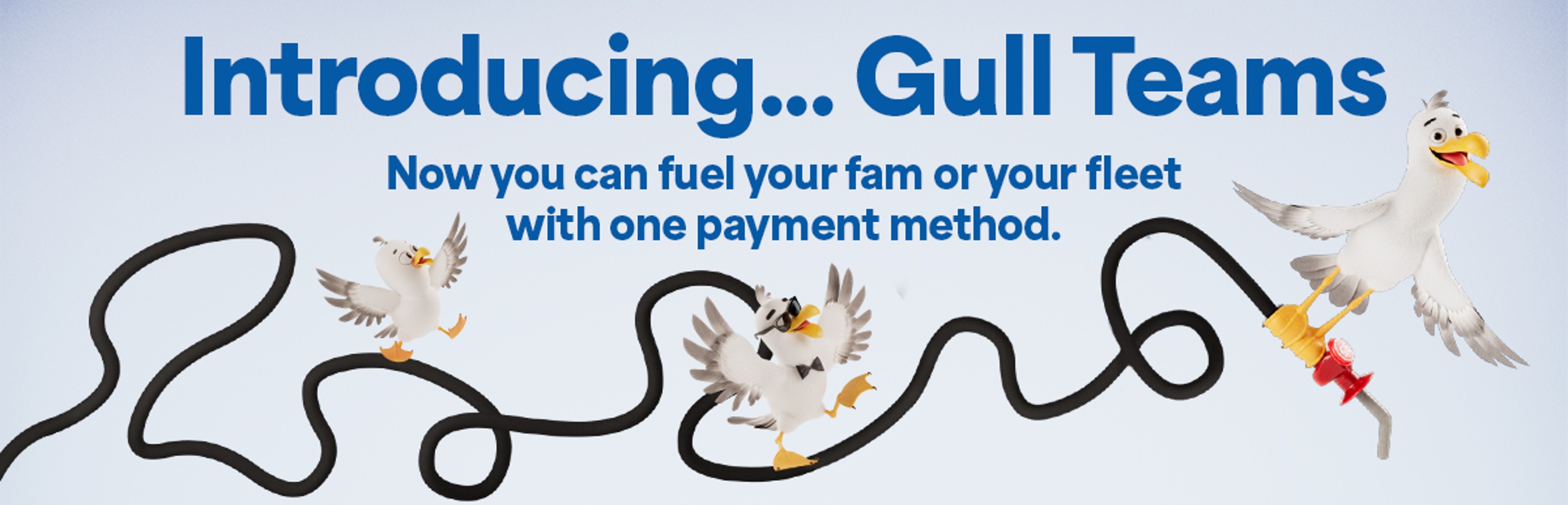 Download the Gull App » Gull NZ