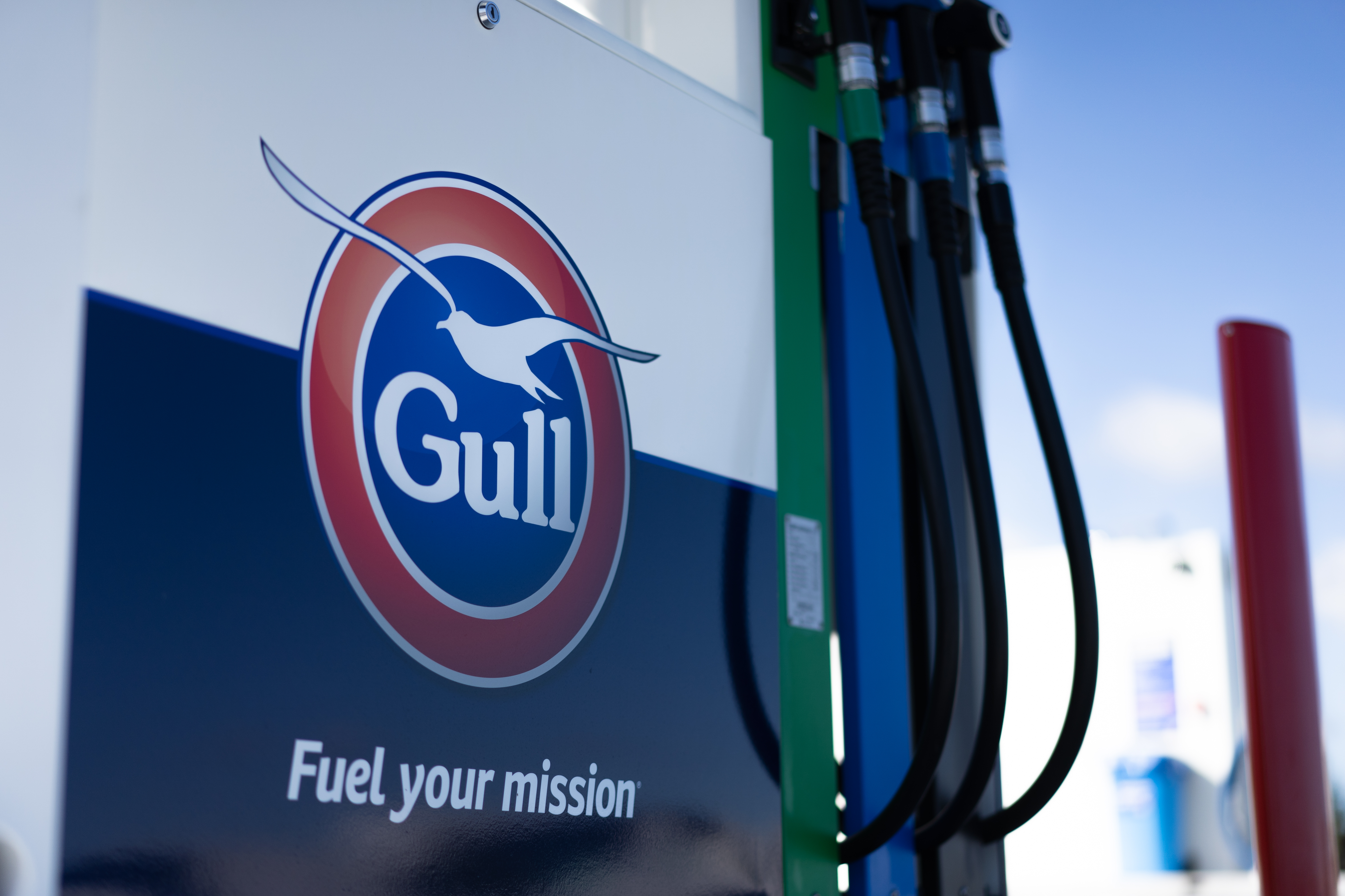 The Gull Effect has arrived in Wellington! » Gull NZ